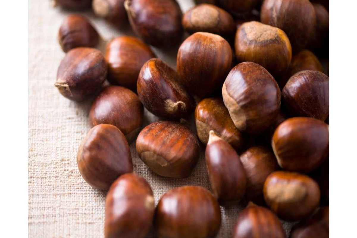 Castagne, cucinarle in questo modo le renderà ancora più gustose