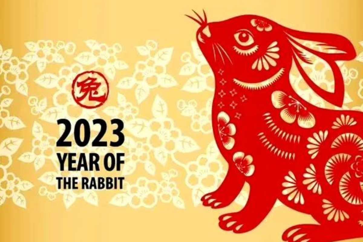Siamo nell'anno del coniglio: significato ed effetti